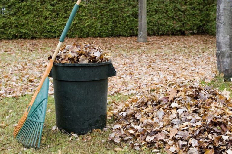 Yard Waste Removal - junkmoor.com